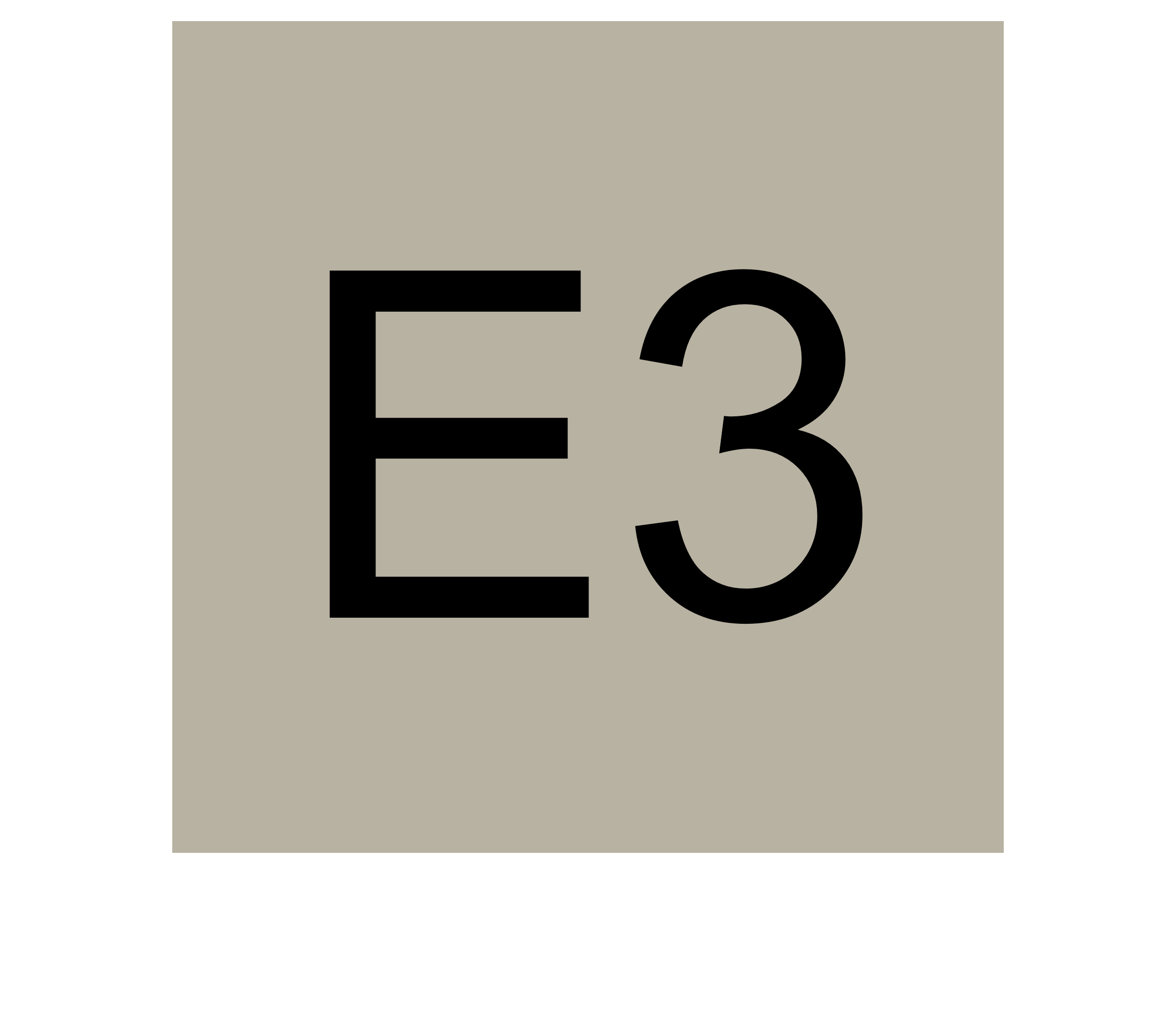 E3 | NPO Institute of Digital Forensics.